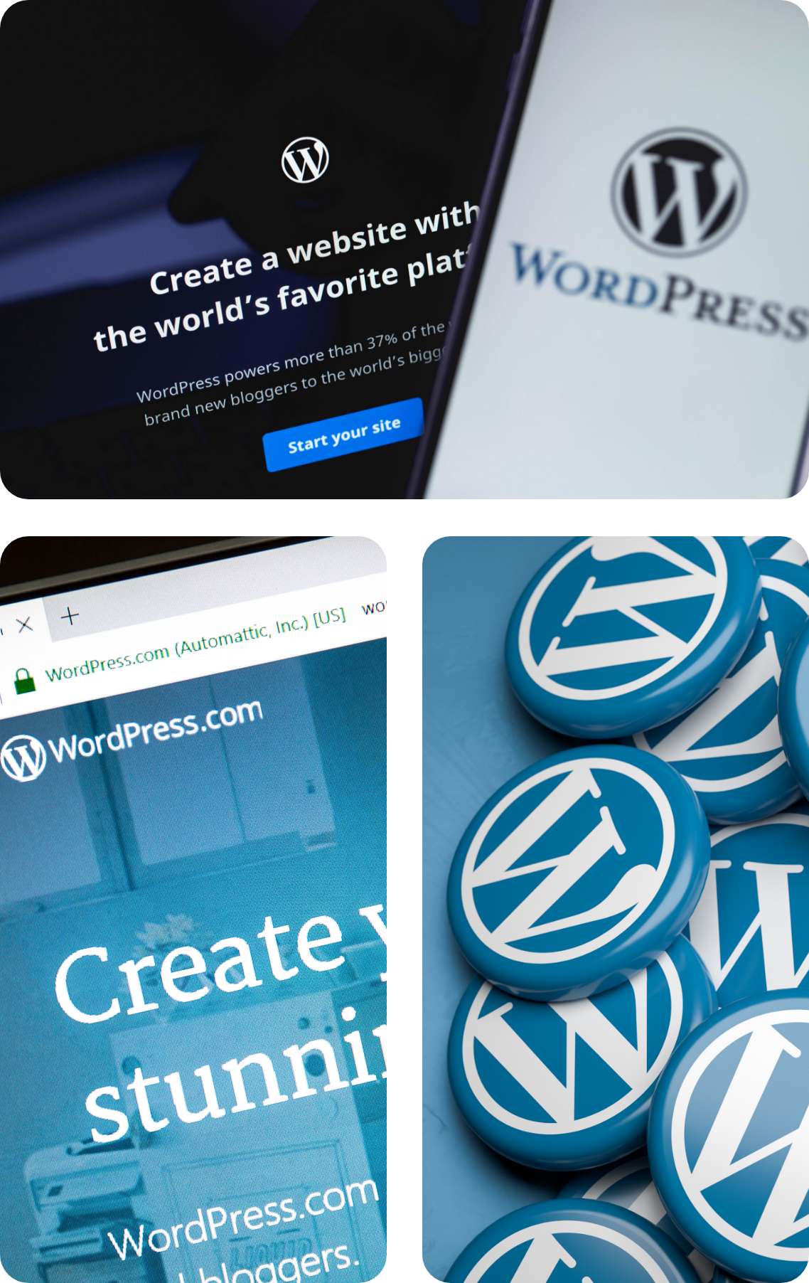 Wordpress Development Services - DOM